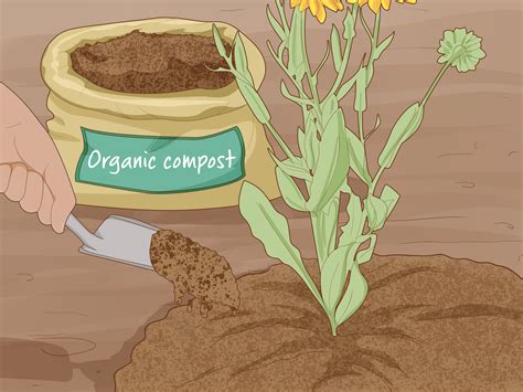 Simple Ways To Save Bees From Extinction 13 Steps With Pictures