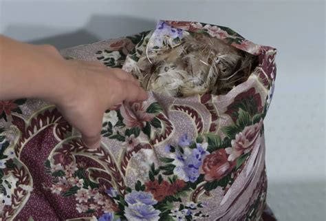 Постирать перьевые подушки дома Простой способ Перья не летают по дому Марина Жукова