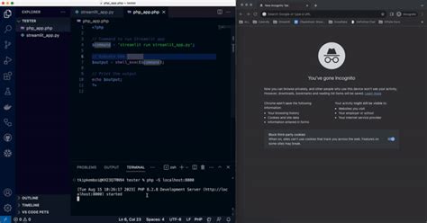 Streamlit Ports Using Streamlit Streamlit