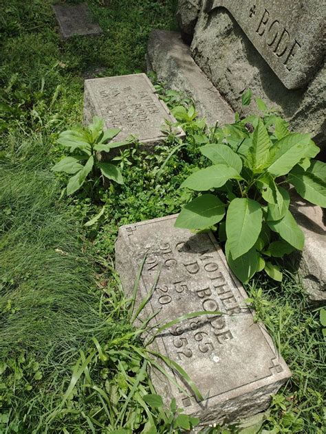 Catherine D Bode 1865 1952 Find A Grave Memorial