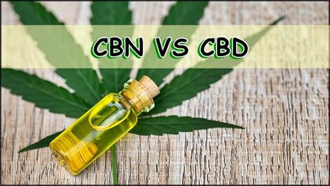CBN Vs CBD What S The Difference New Phase Blends CBD