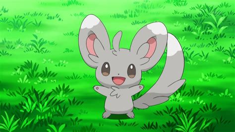 Minccino Quests Sponsored Stop Editing And Small Go Battle Updates