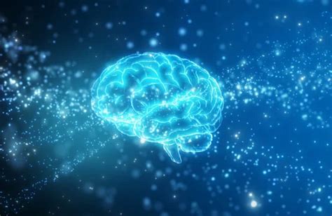 What Neuroimaging Can Tell Us About Our Unconscious Biases Mane News