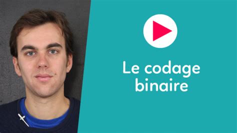 Les Données Structurées Snt Seconde Cours En Ligne Les Bons Profs