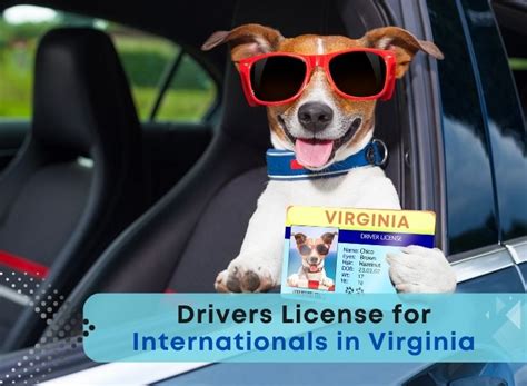 What Documents Are Required To Obtain A Learners Permit In Virginia