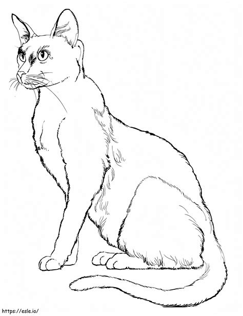 Realistic Cat Coloring Page