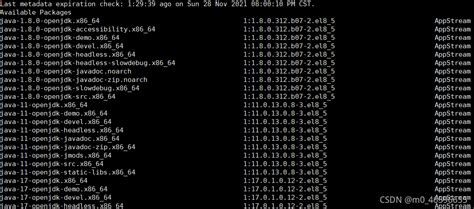 使用阿里云ecs服务器搭建java环境阿里云 安装java Csdn博客