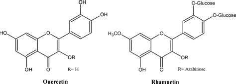 Chemical Structures Of Quercetin And Rhamnetin Download Scientific