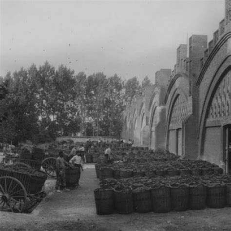 Las 10 Bodegas Más Antiguas De España De Codorníu Al Marqués De Murrieta Infobae