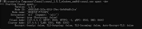Asp Net Core基础篇之服务的注册与发现Consul初篇一 畅饮无绪 博客园