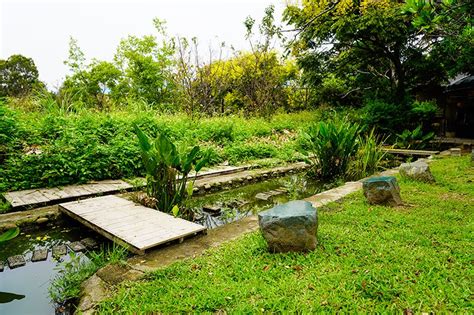 活力景觀 桃園新屋活力健康農場