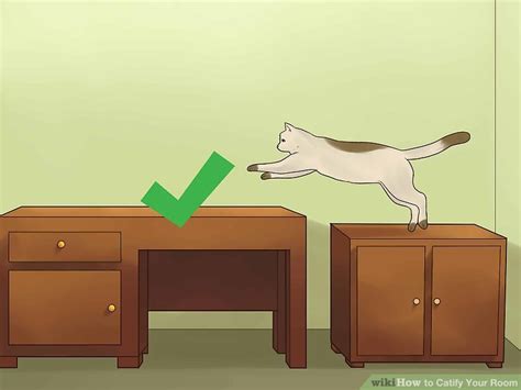 How To Catify Your Room 14 Steps With Pictures Wikihow
