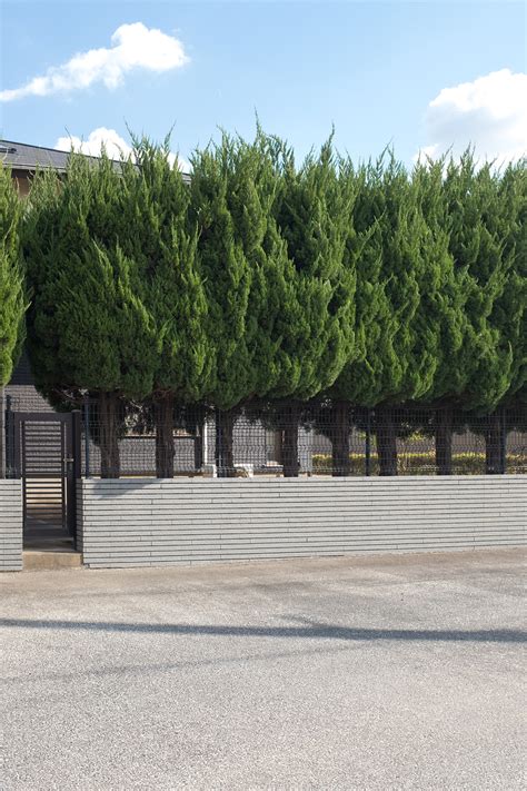 Passing Material On Behance