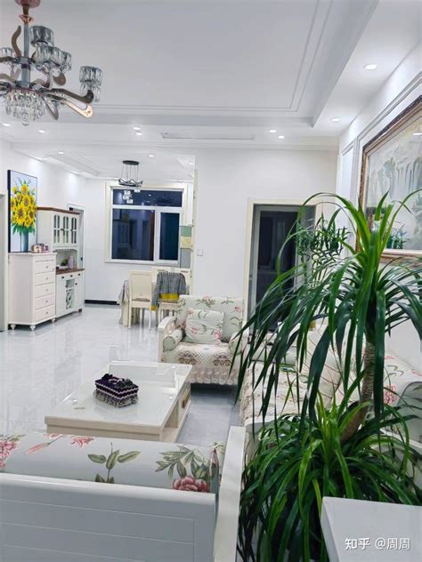 这才是中年人最顶级的生活方式🎀 知乎