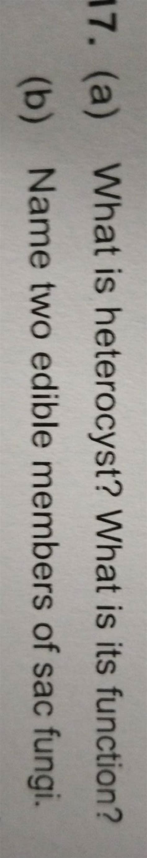17 A What Is Heterocyst What Is Its Function B Name Two Edible Mem