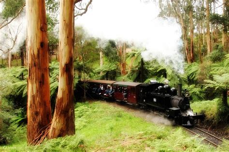 Puffing Billy Half Day Tour From Melbourne Klook
