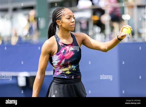 Maya Joint Hi Res Stock Photography And Images Alamy