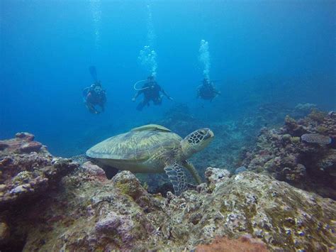 THE 15 BEST Things to Do in Apia - 2022 (with Photos) - Tripadvisor
