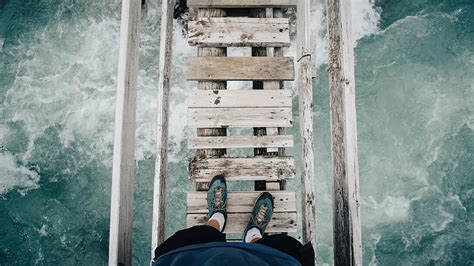 The Centaur And Platos Chariot Analogy Meer