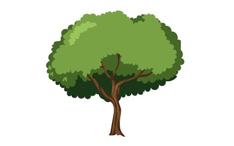 벡터 흰색 배경에 고립 된 나무 프리미엄 벡터