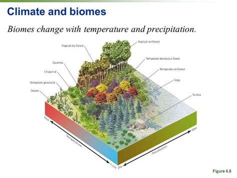 Climate And Biomes A Visual Exploration