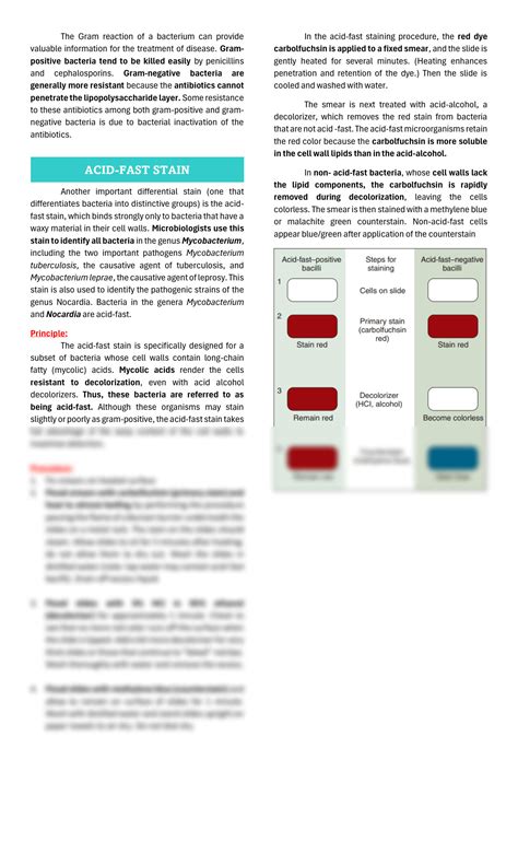 Solution Bact Differential Staining Studypool