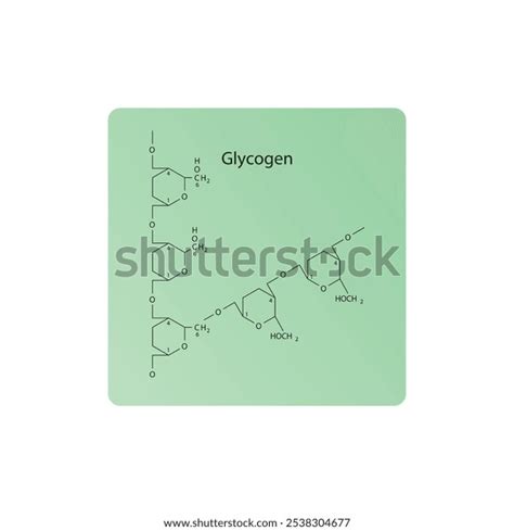 Amylose Skeletal Structure Diagrampolysaccharide Compound Molecule
