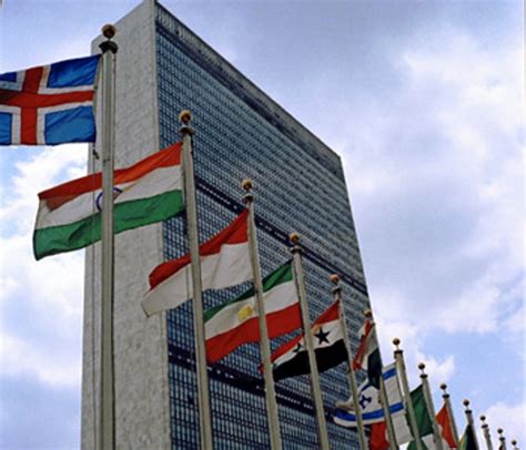 La Onu Cumple 66 Años Estilos Media