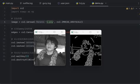 Python与opencv：图像处理与计算机视觉实战指南计算机视觉德宏大魔王 Gitcode 开源社区