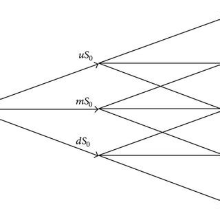 Trinomial Tree For 5 Steps Download Scientific Diagram