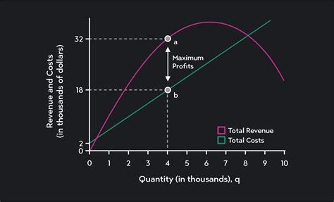 What Is Profit Maximization Outlier
