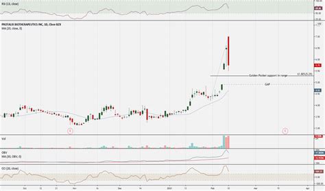 PLX Stock Price and Chart — AMEX:PLX — TradingView