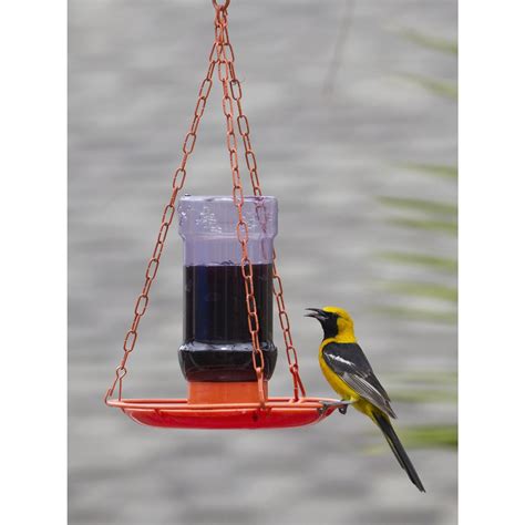 Perky Pet 253 Oriole Jelly Wild Bird Feeder New Free Shipping Ebay