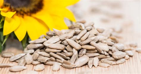 How To Shell Sunflower Seeds Storables
