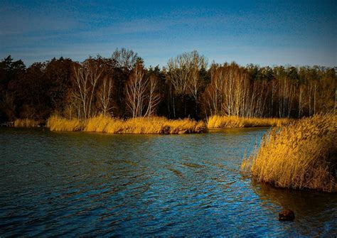Dritter Advent Foto And Bild Landschaft Bach Fluss And See See Teich