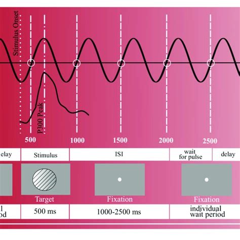 Stimulus Presentation And Timing A Synchronization Between Target Download Scientific