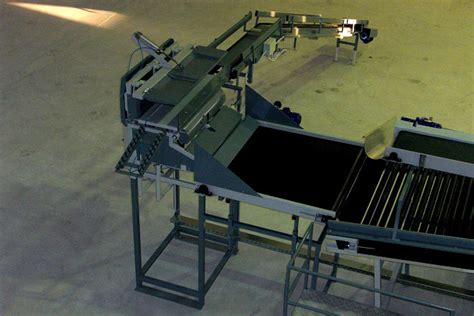 sorting grading sizing packaging line for pears processing sorting