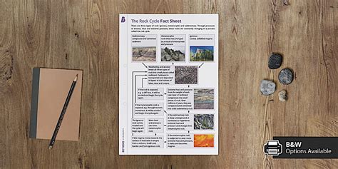 Ks3 Geography The Rock Cycle Fact Sheet Teacher Made