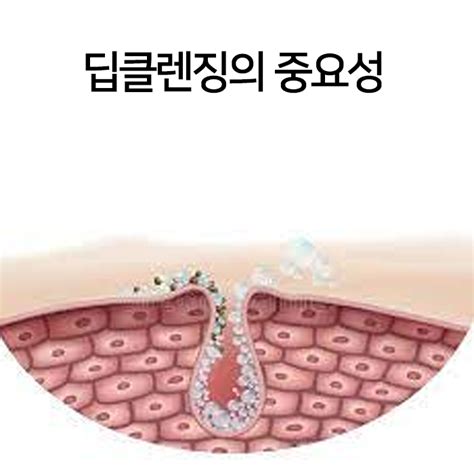피지 녹일때 필요한 클렌징오일 사용법 네이버 블로그