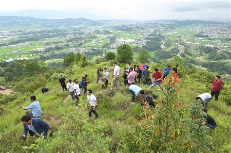 युवा संघको एक युवा पाँच विरुवा अभियान तस्वीरहरू
