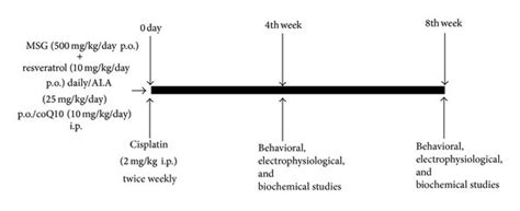 Schematic Representation Of Experimental Design Download Scientific