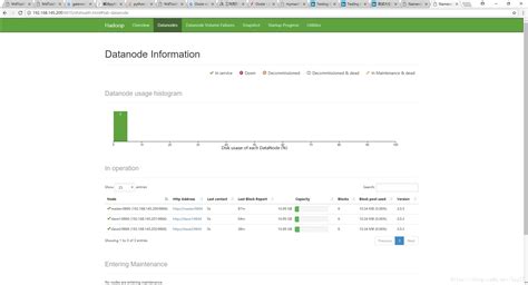Centos7上配置好hadoop后报：namenode Is Still Loading Redirecting To The