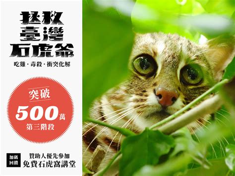 滅絕以前，看見石虎保育的曙光｜accupass 活動通