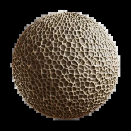 CGAxis D Models PBR HDRI For Your D Visualizations Projects