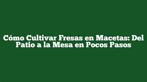 Cómo Cultivar Fresas En Macetas Del Patio A La Mesa En Pocos Pasos