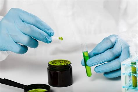 Reasons Why Lab Tested Kratom Matters For Your Experience