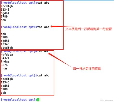 【linux】文本处理常见命令，你都会了嘛？linux文本操作命令 Csdn博客