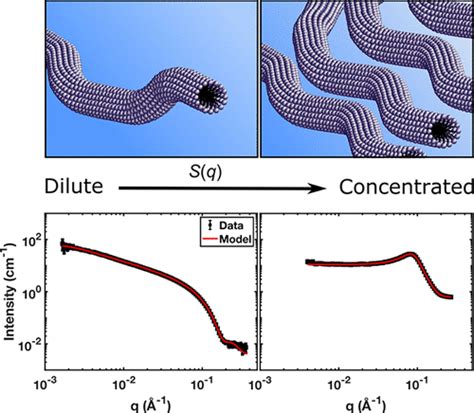 In Situ Nanostructural Analysis Of Concentrated Wormlike Micellar Fluids Comprising Sodium