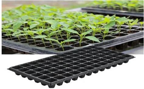 Plastic Seedling Tray 1 Mm At ₹ 18 Piece In Bengaluru Id 2853675318588
