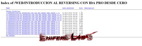 Curso De Reversing Desde Con Ida Por Ricnar Snifer L B S